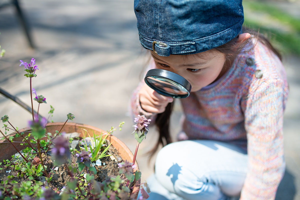 Kindergarten – Seeds to Solutions